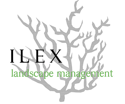 About Us | ILEX Landscape Management